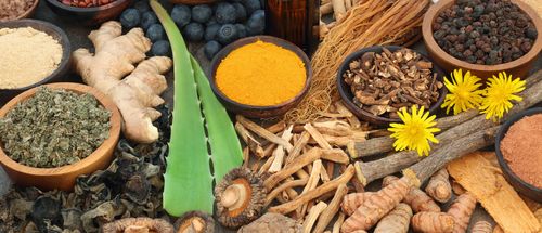 Adaptogene – was ist das denn?: Heilpflanzen-Experten